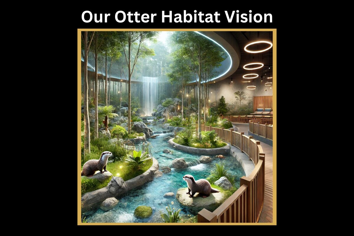 Otter Habitat - Otter Oasis Adventure Park